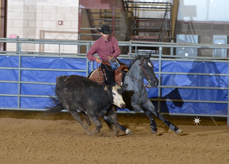 SR Reining Region 2 Rapid City SD